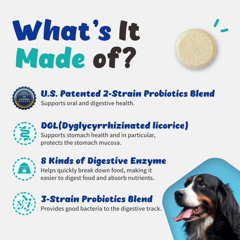 Branvine Probiotics Chewable Digestive, Oral Health for Dogs - Patented ...