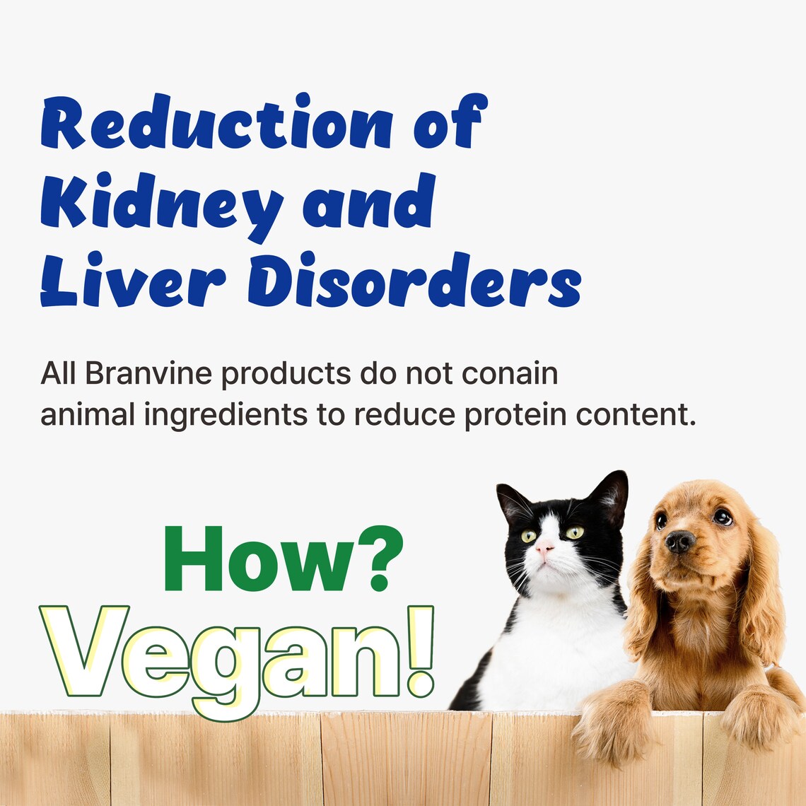 Branvine Probiotics Chewable Digestive, Oral Health for Dogs Patented 2 ...