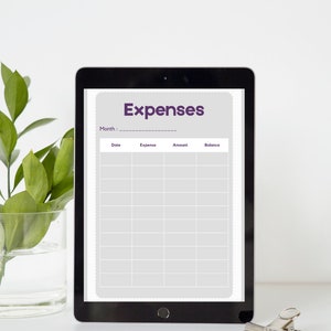 Penny Wise: Digital Budget Planner for Financial Mastery - Expense ...