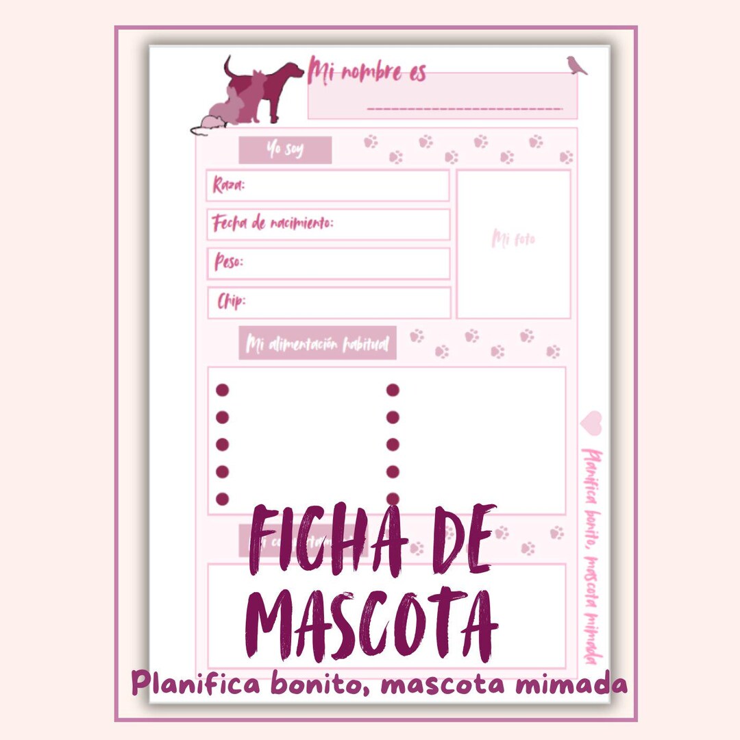 Printable Pet Charts. Ideal for Veterinarians or Pet Sitters. A4 and A5 ...