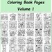 50 Cute Koala and Friends Coloring Book Pages, Volume 1 - Etsy