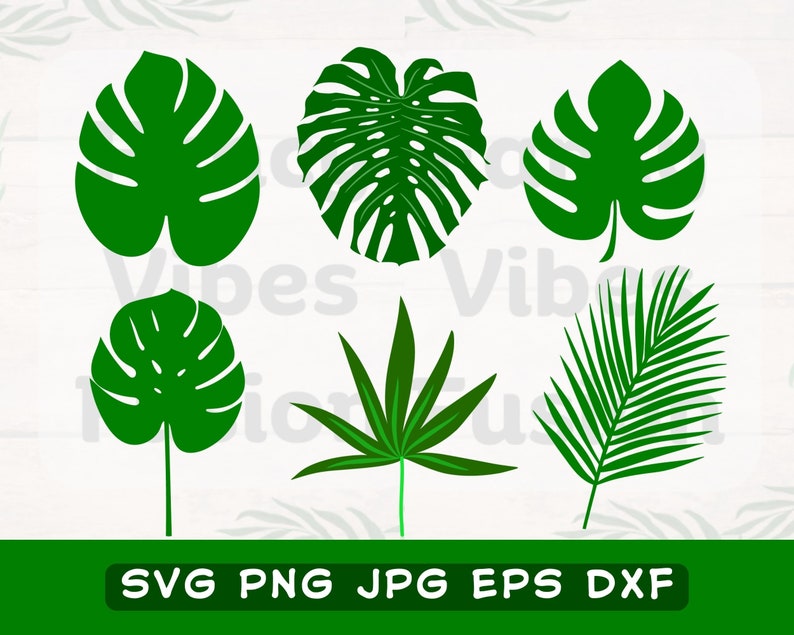Palm Leaf Svg Bundle, Tropical Leaves Svg, Monstera Leaf Svg, Jungle ...