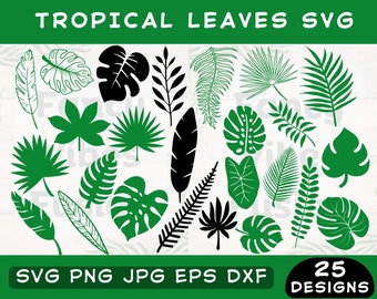 Tropical Leaves Svg Bundle, Monstera Leaf Svg, Tropical Leaf Svg, Palm Leaves Svg, Palm Branch ...