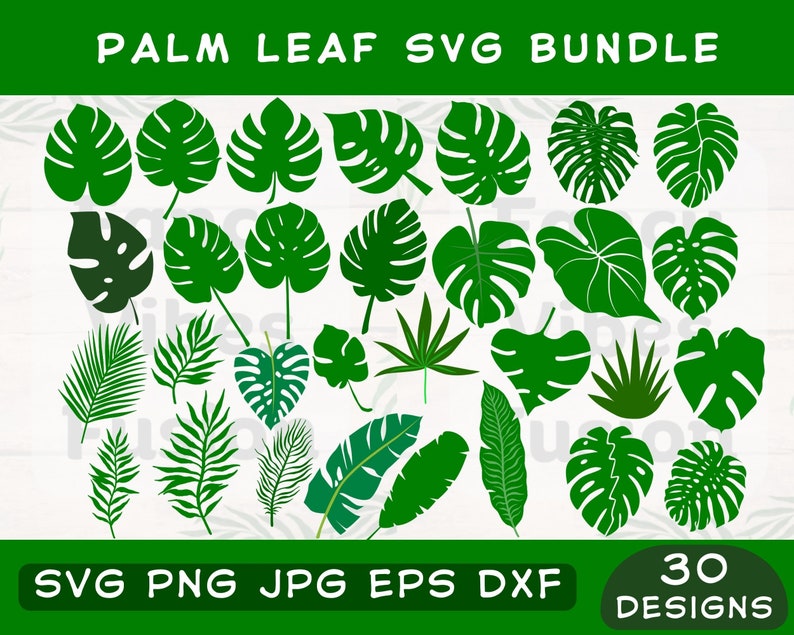 Palm Leaf Svg Bundle, Tropical Leaves Svg, Monstera Leaf Svg, Jungle ...