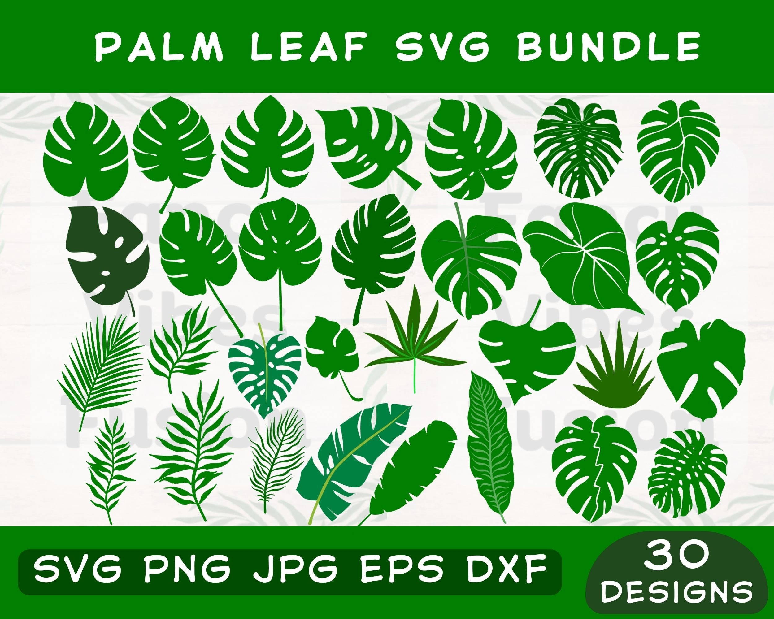 Palm Leaf Svg Bundle, Tropical Leaves Svg, Monstera Leaf Svg, Jungle ...