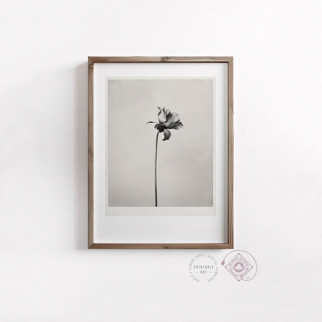 Vintage Polaroid Style Photo Wall Art | Black and White Botanical ...
