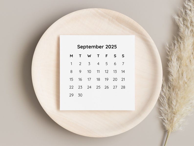 Mini Calendar 2025, Months Calendar, Square Small Calendar, Pocket ...