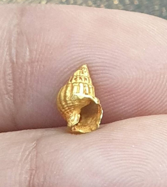 Antique Genuine Solid 22K Gold Pyu conch Shell Intagl… - Gem