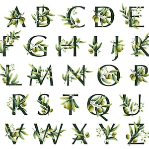 Olive Branch Alphabet Clipart: Watercolor Letters (PNG, JPG, PDF ...