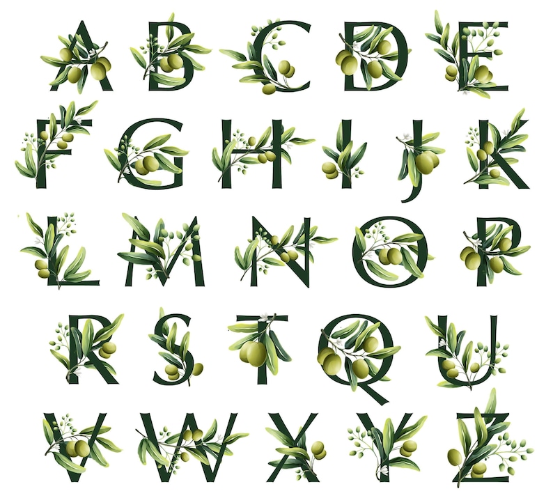 Olives ALPHABET, Cricut & Printable Olive Branch and Leaves Clipart ...