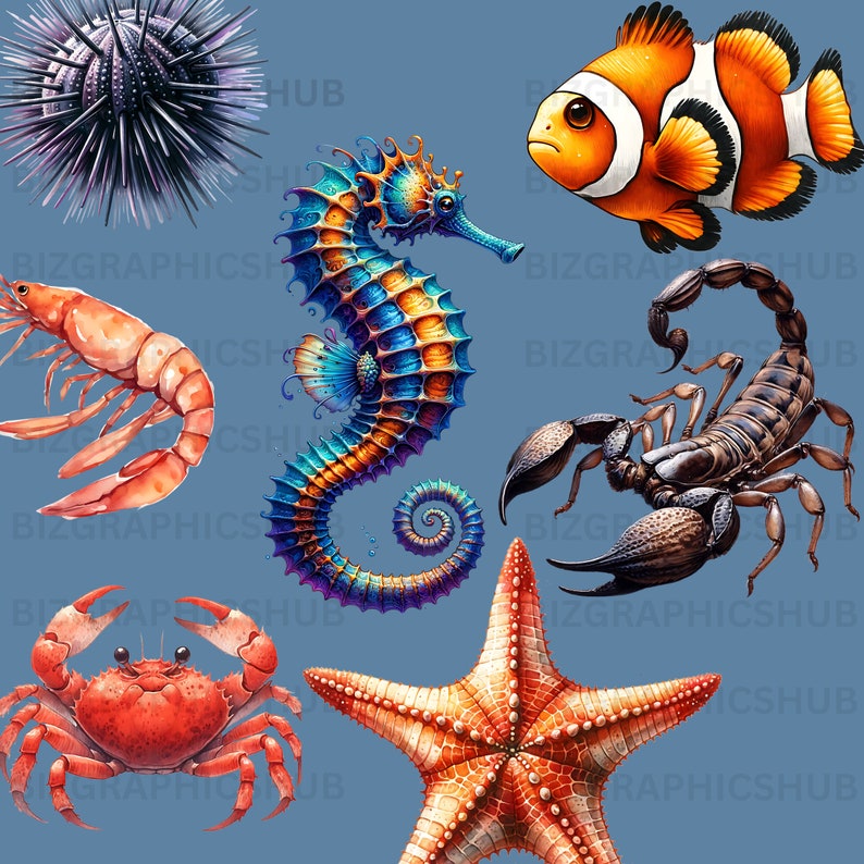 Watercolor Marine Life Clipart Bundle 25 Sea Animals PNG, Ocean Life ...
