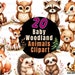 Baby Woodland Animals Clipart Bundle, PNG Printable Set, Cute Nursery ...