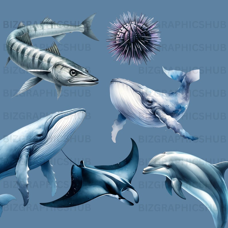 Watercolor Marine Life Clipart Bundle 25 Sea Animals PNG, Ocean Life ...