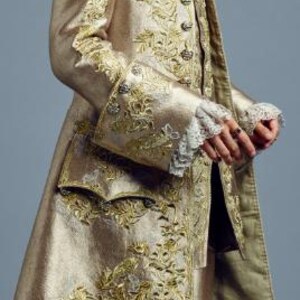 Men's Royal French Nobleman Suit: Golden Embroidered Rococo Wedding ...