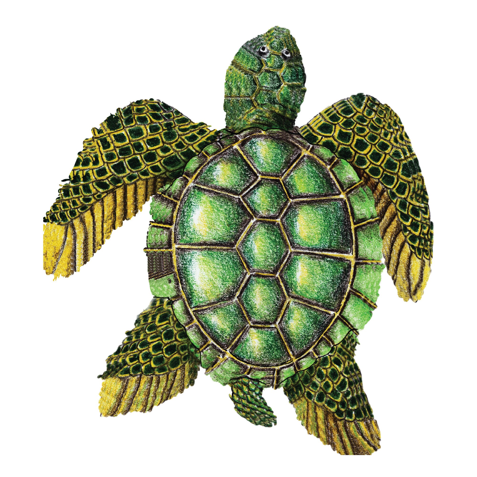 Screen Door Saver Screen Magnets Protect Your Screen With Screen Door ...