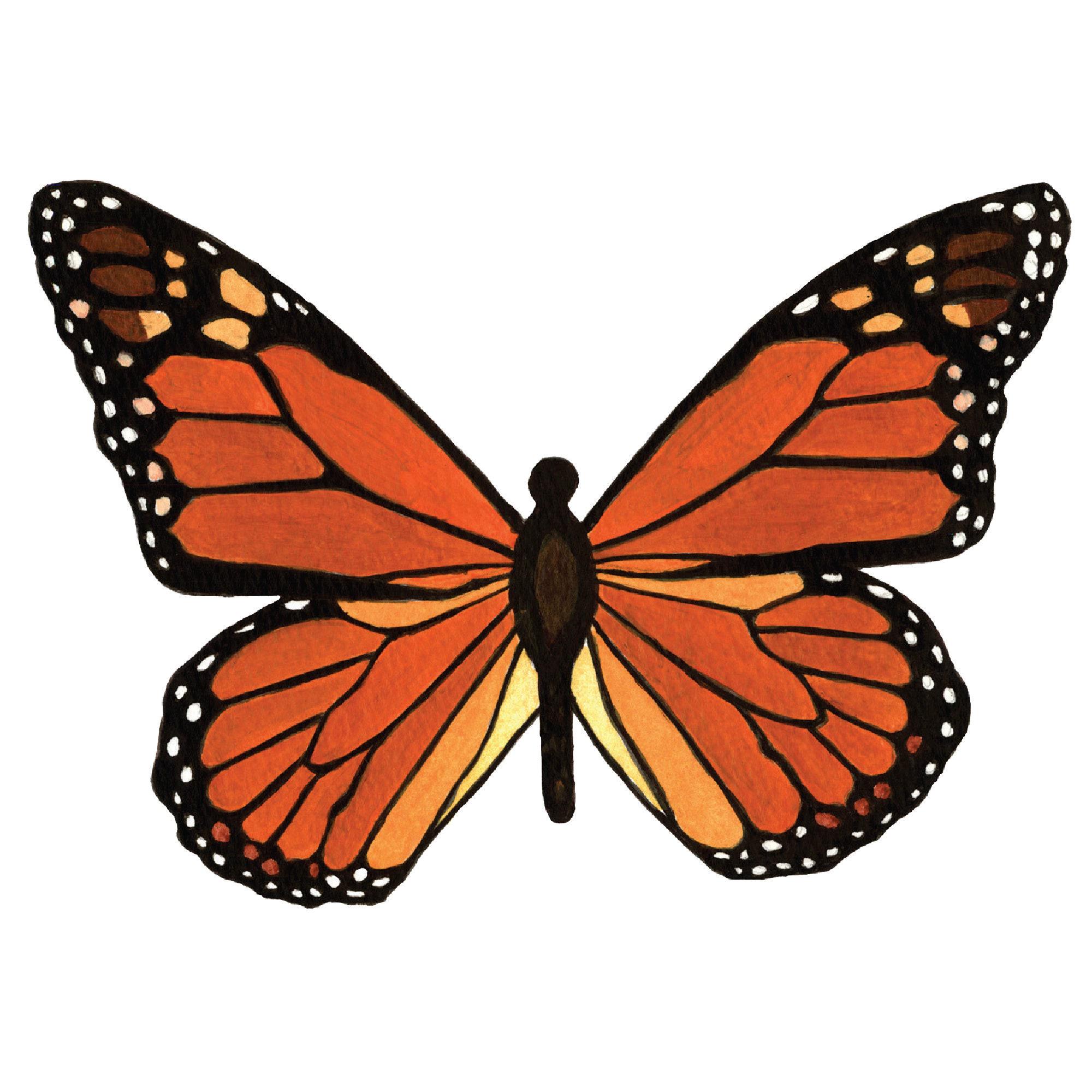 Screen Door Saver - Screen Magnets - Protect Your Screen With Screen ...