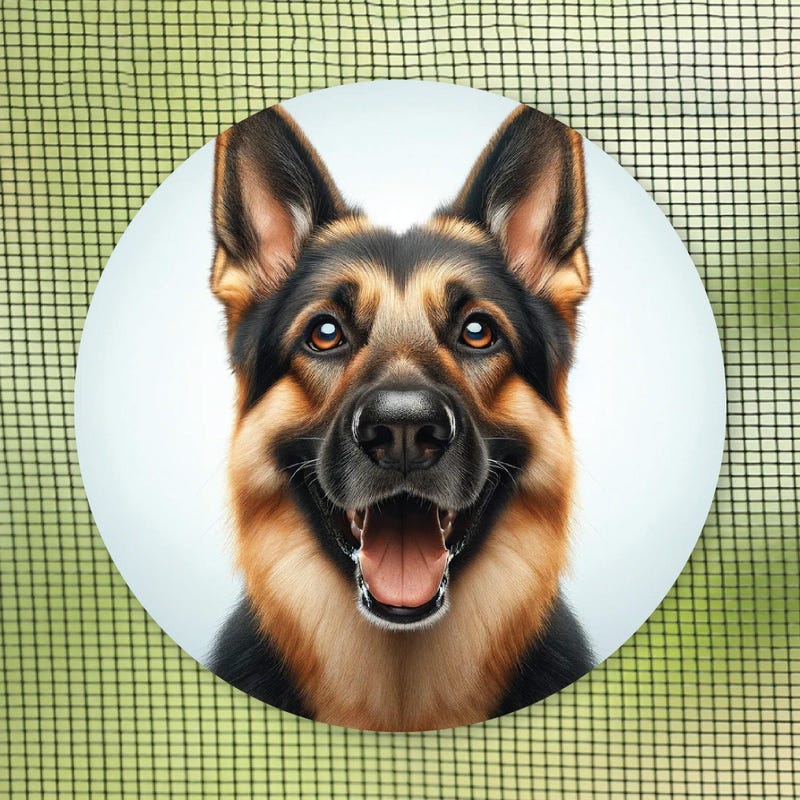 Custom Made Magnets Pets - Etsy