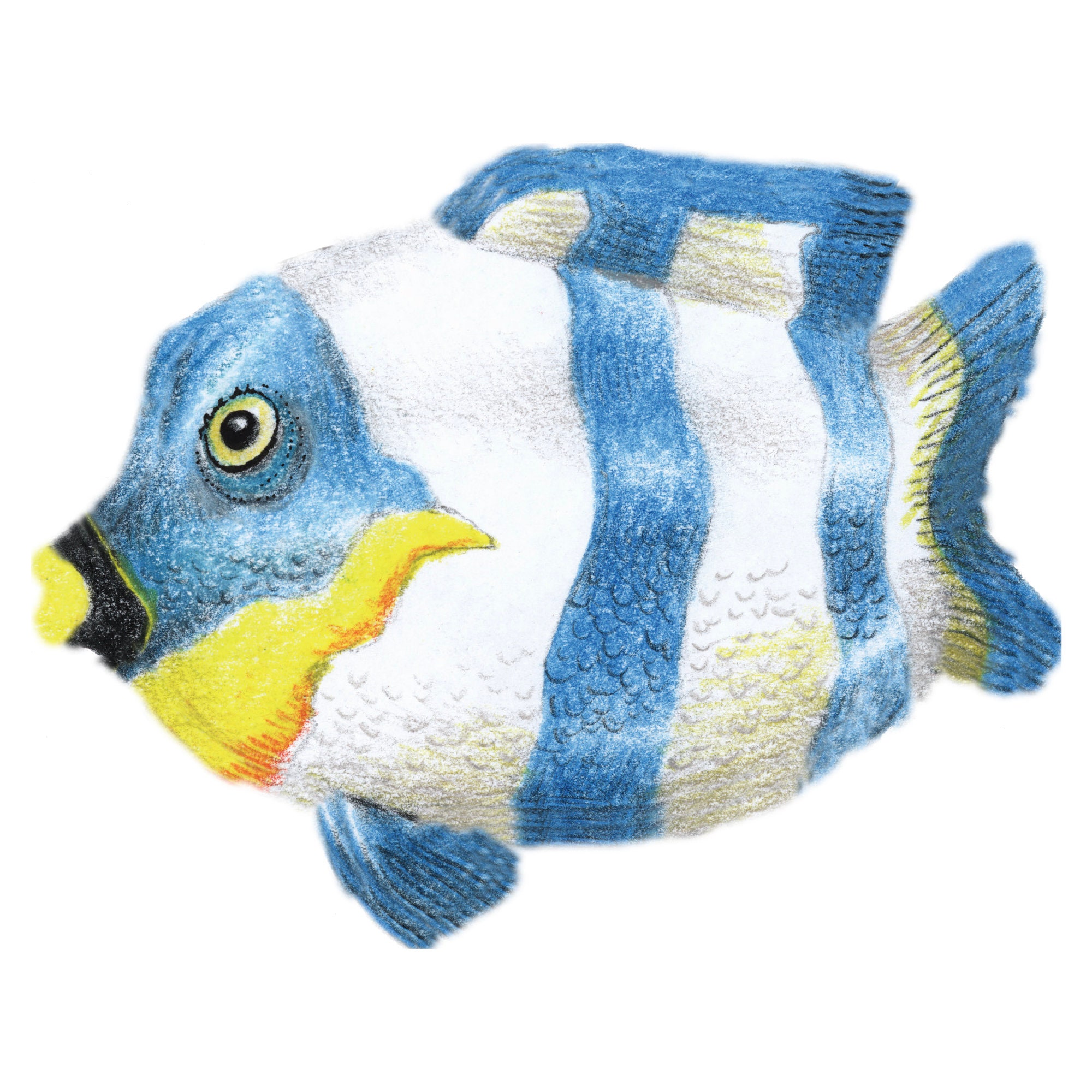 Screen Door Saver - Screen Magnets - Protect Your Screen With Screen ...