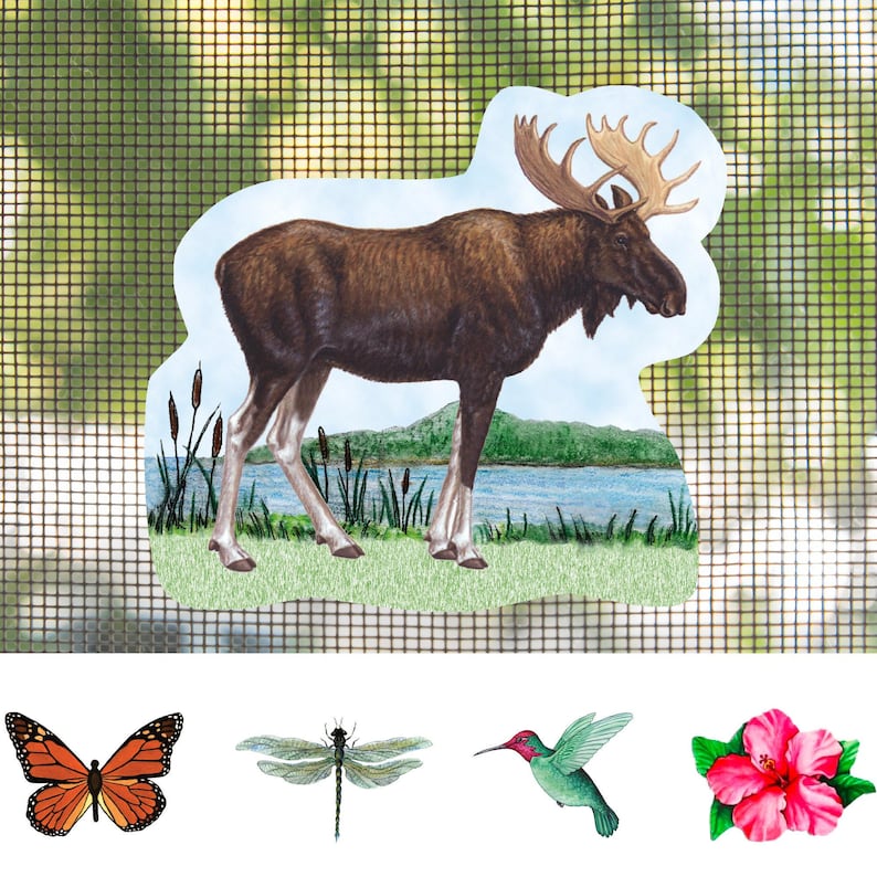 Screen Door Saver - Screen Magnets - Protect Your Screen With Screen ...