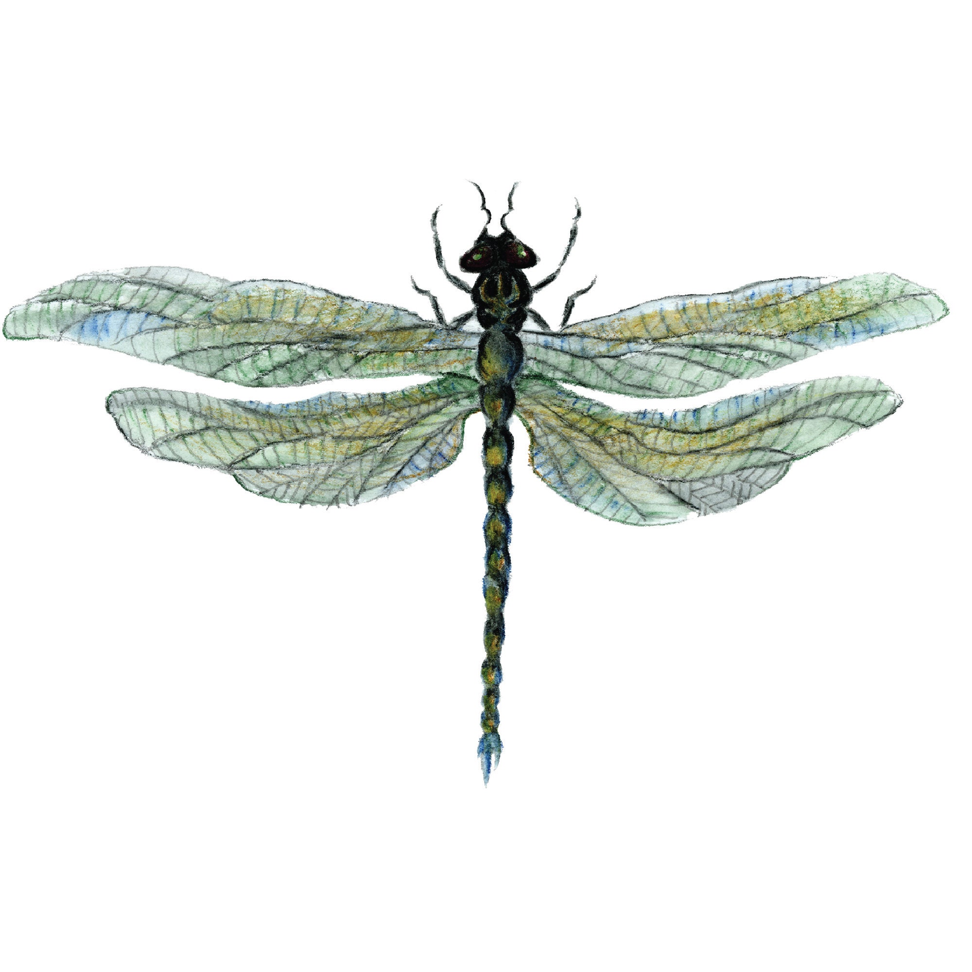 Screen Door Saver Screen Magnets Protect Your Screen With Screen Door ...