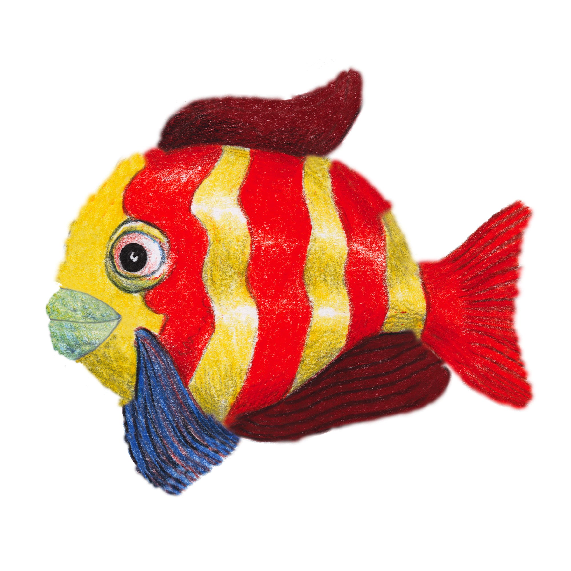 Screen Door Saver Screen Magnets Protect Your Screen With Screen Door ...