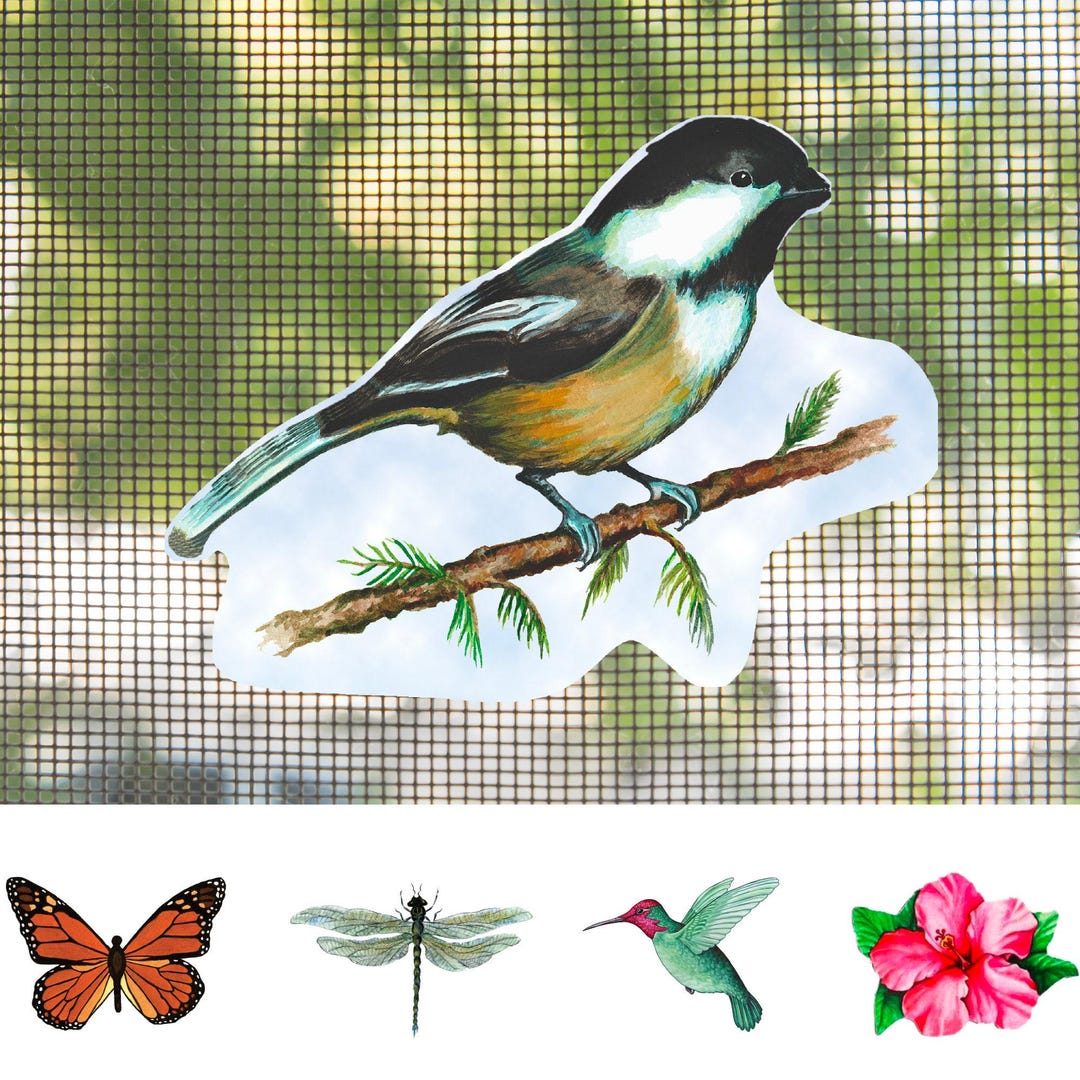 Screen Door Saver - Screen Magnets - Protect Your Screen With Screen ...