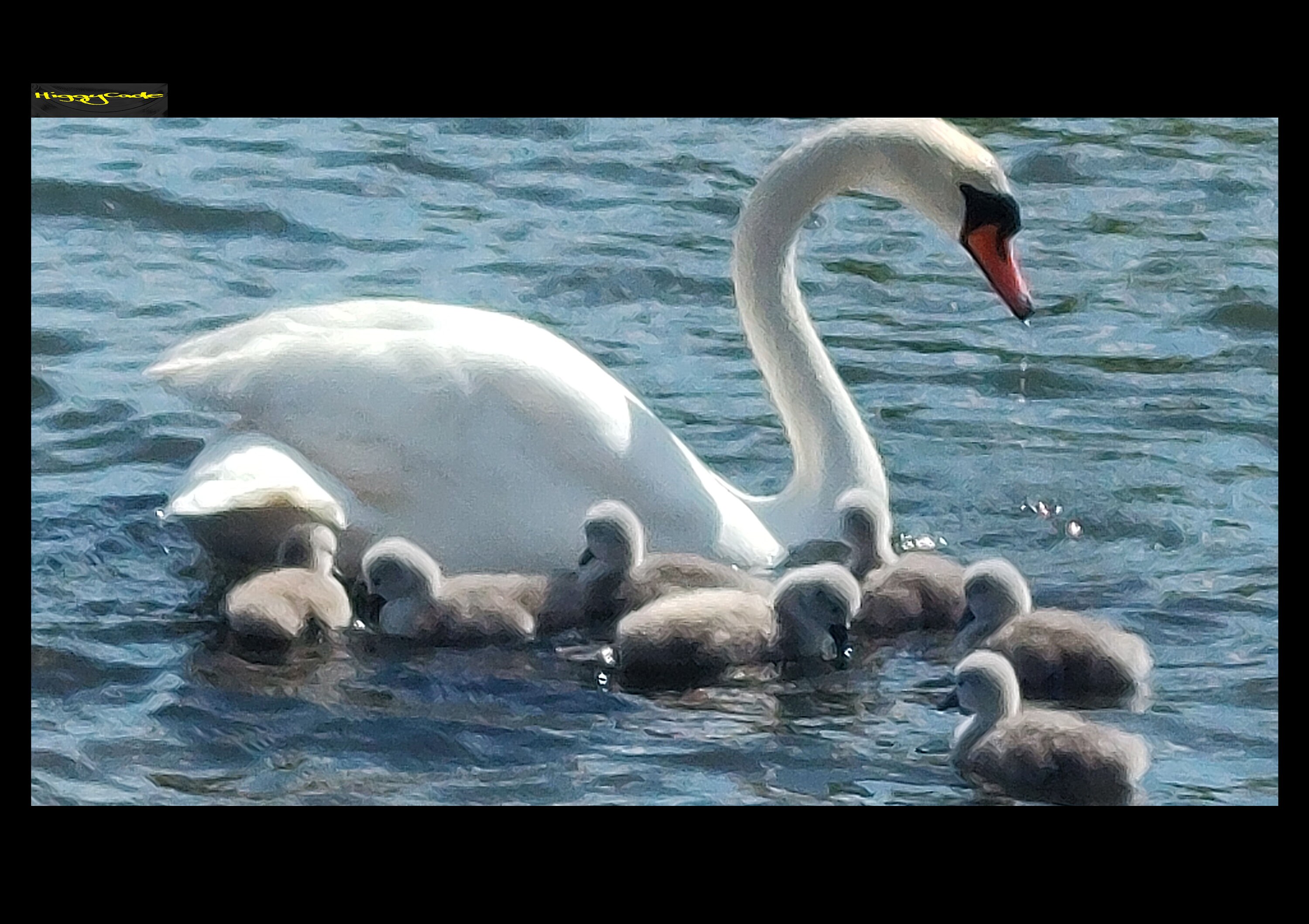 Mother_swan_with_cygnet_babies. Printable Wall Art Animal - Digital ...