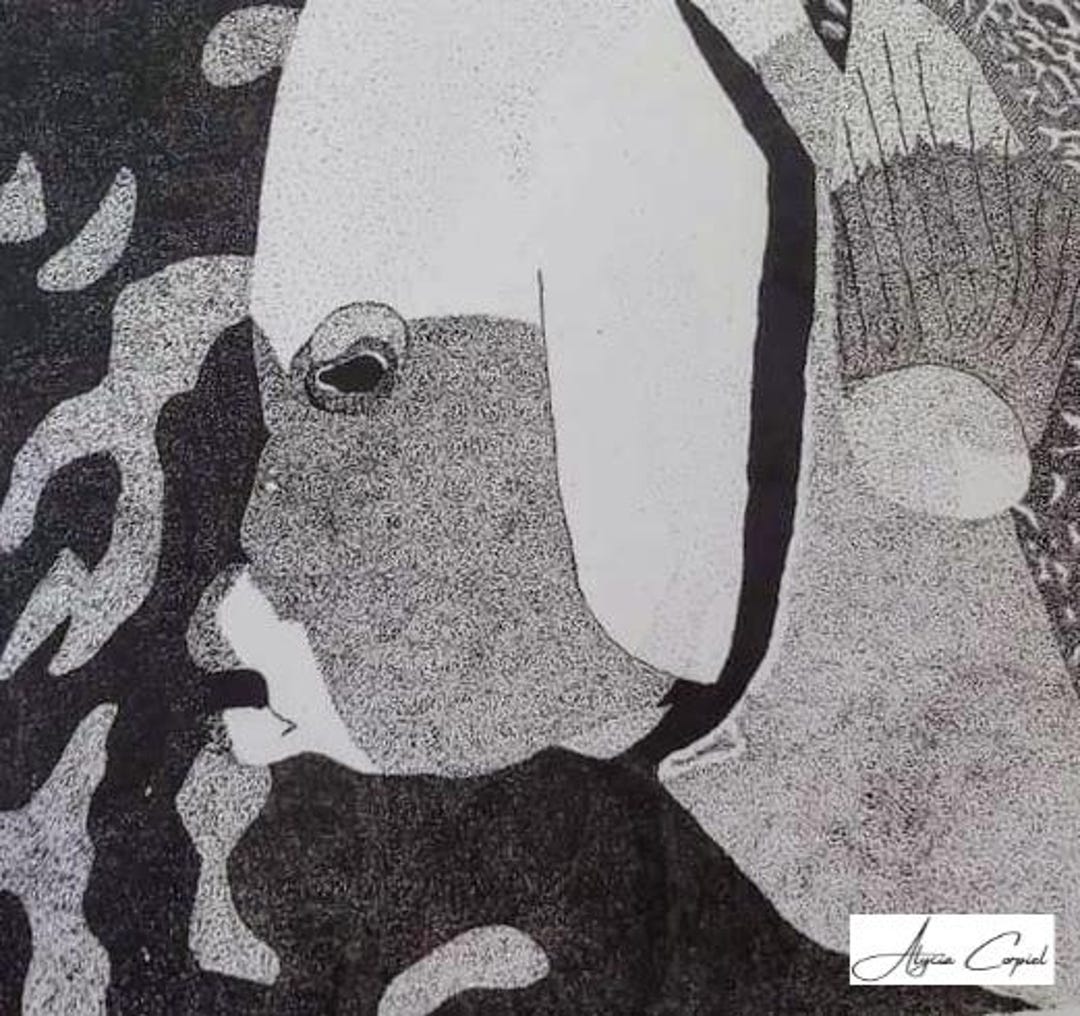 Stippled Grouper Fish Art Print - Ocean Life Stippling Artwork - Etsy