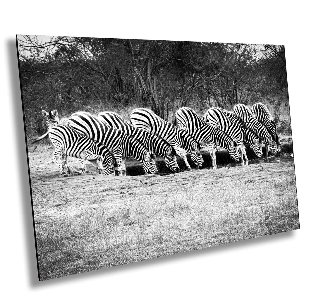 Zebras Photography, Kruger National Park, Black White Art, African ...