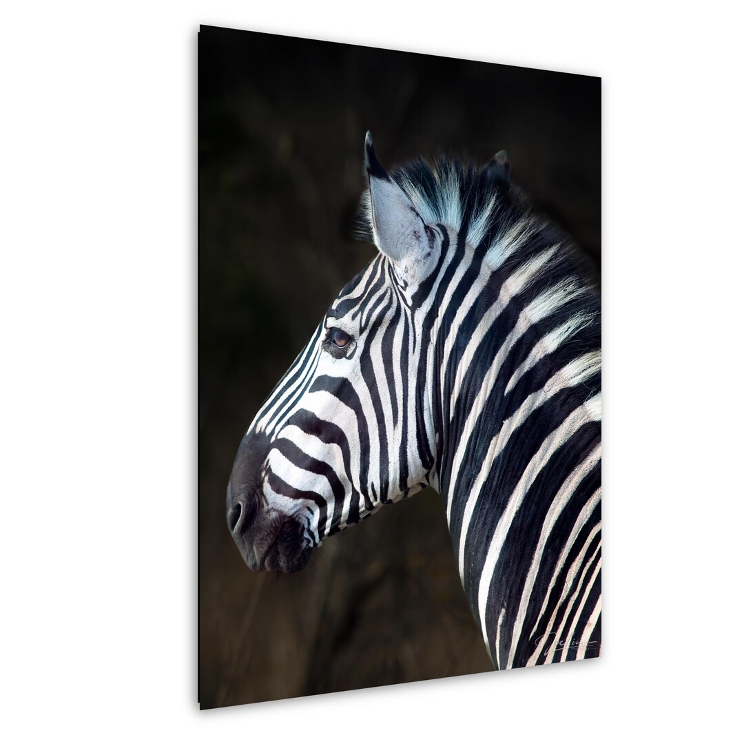Zebra Art, Zebra Home Decor, African Animals, Wildlife Photo Print ...