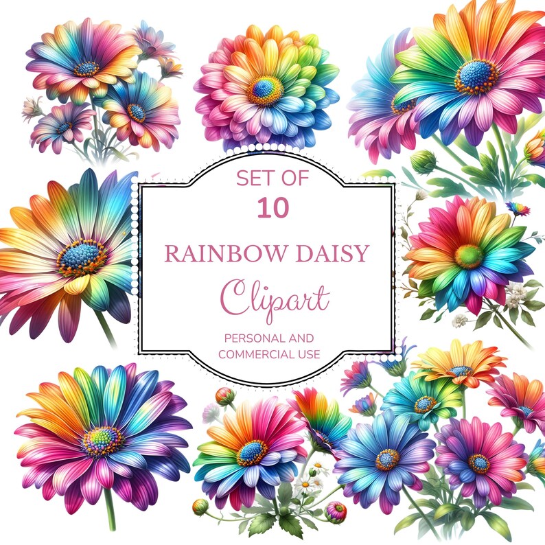 Rainbow Daisy Clipart: Watercolor Flower Images (commercial Use ...