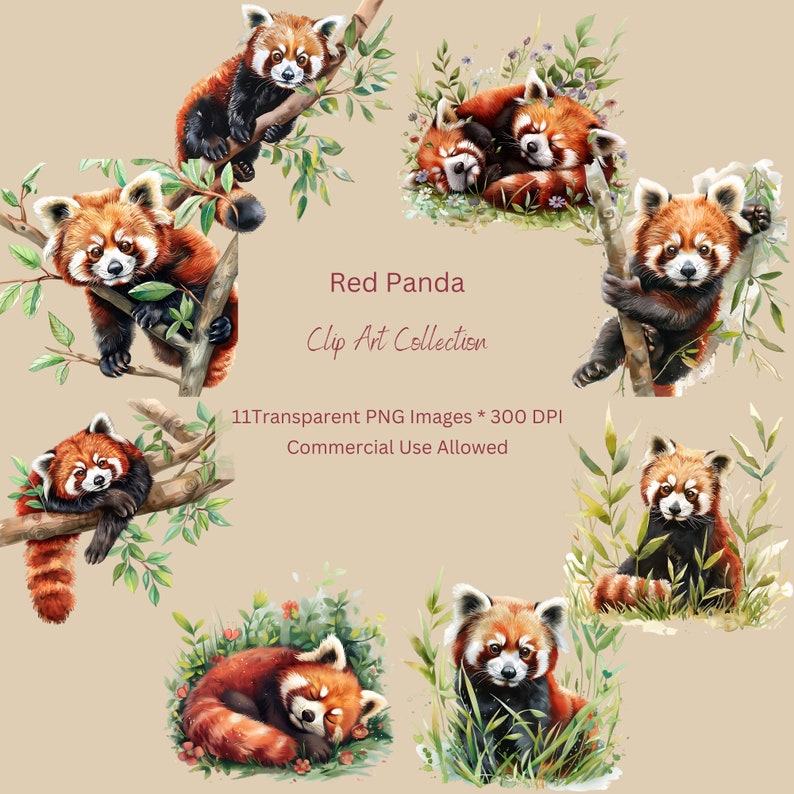 Red Panda Clip Art. Watercolour. High Definition. Commercial Use ...
