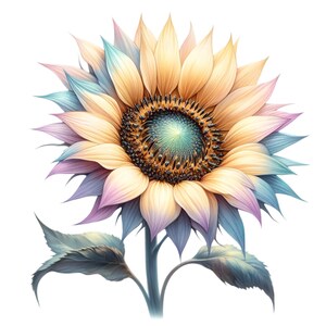 Rainbow Sunflower Clipart. Printable Watercolour Images. Florals ...