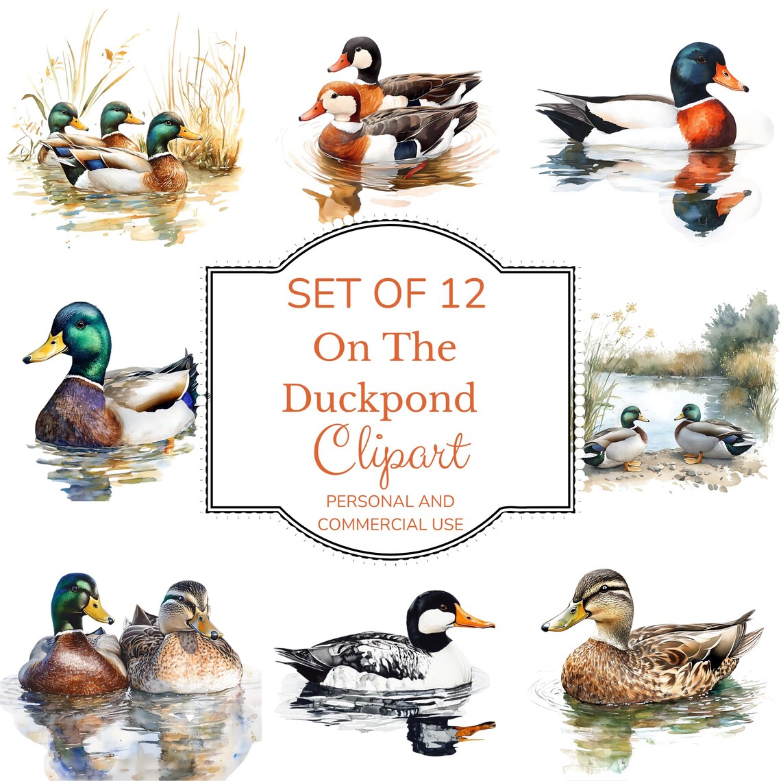 On the Duck Pond Clip Art. Watercolour. Ducks. Waterbirds, Transparent ...