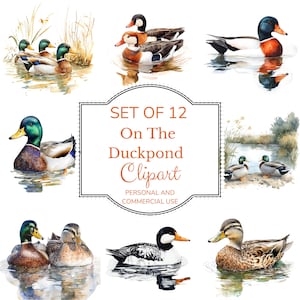 On the Duck Pond Clip Art. Watercolour. Ducks. Waterbirds, Transparent ...