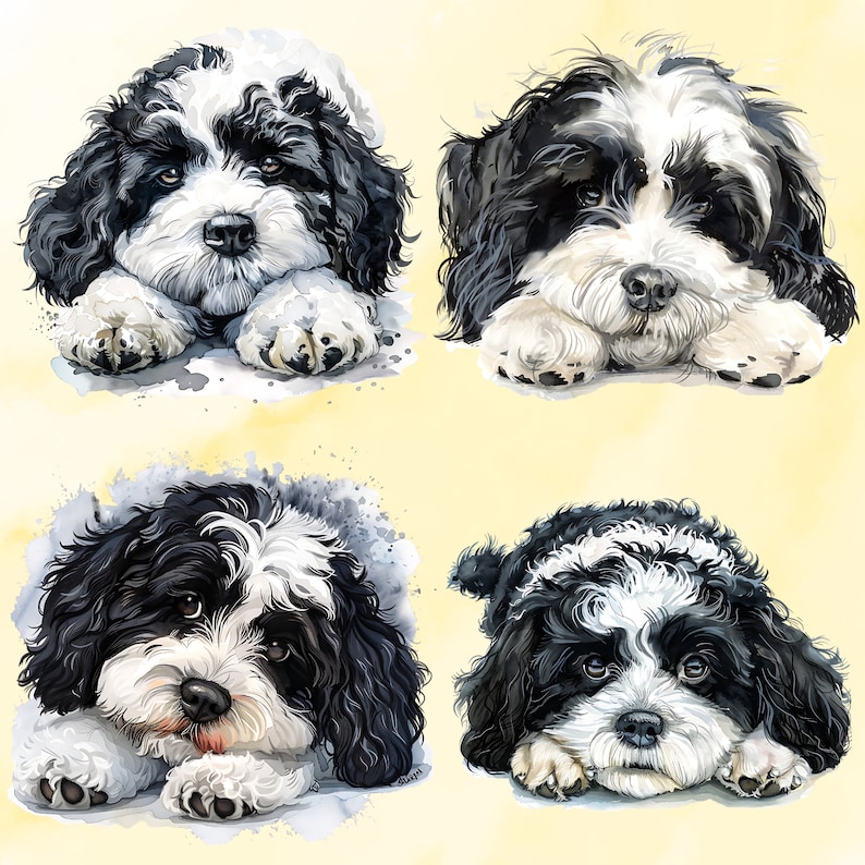 Sleepy Cavachon Clip Art. Watercolour. High Resolution Images. Transparent Image. Commercial Use ...