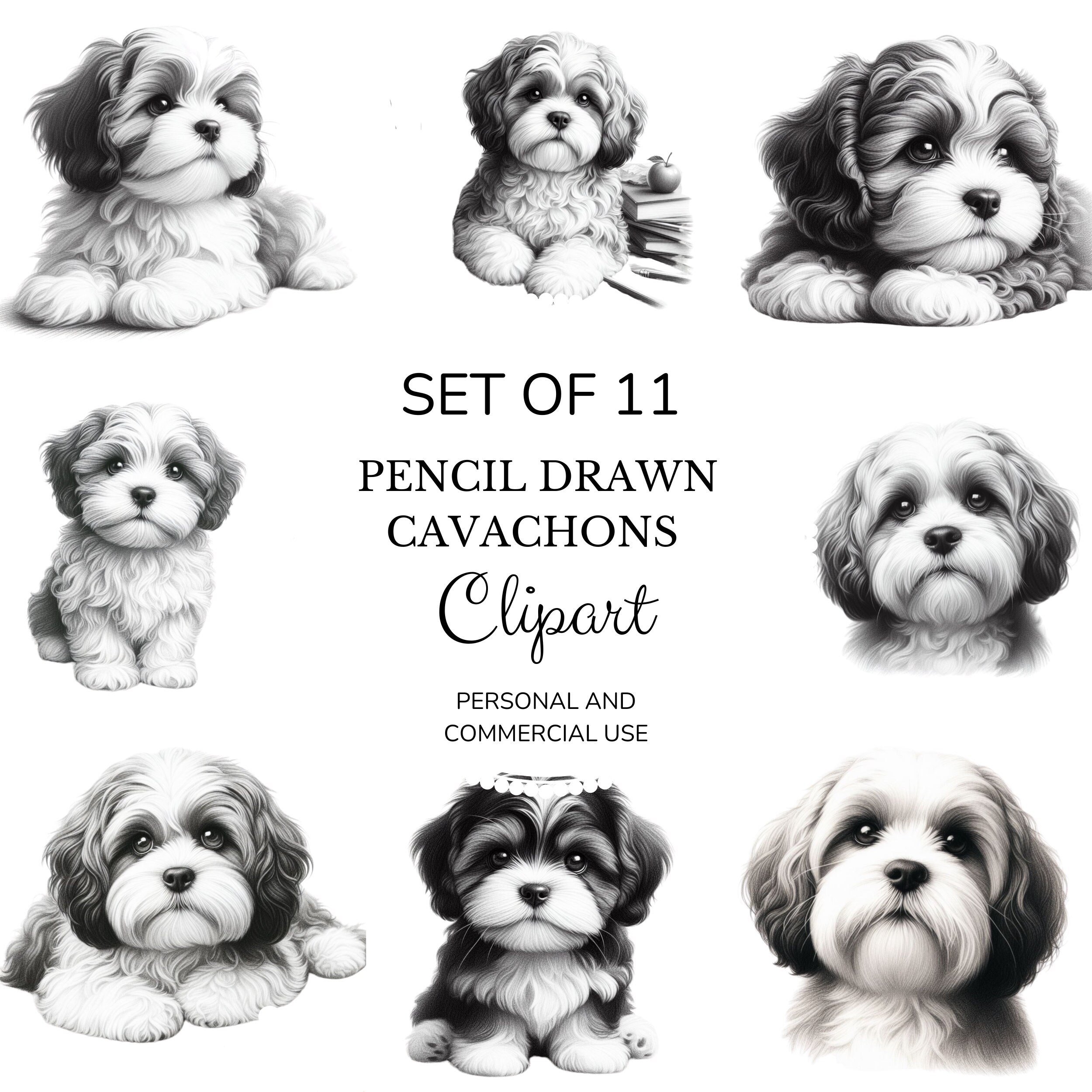 Pencil Drawn Cavachon Clip Art. Instant Digital Download. Transparent ...
