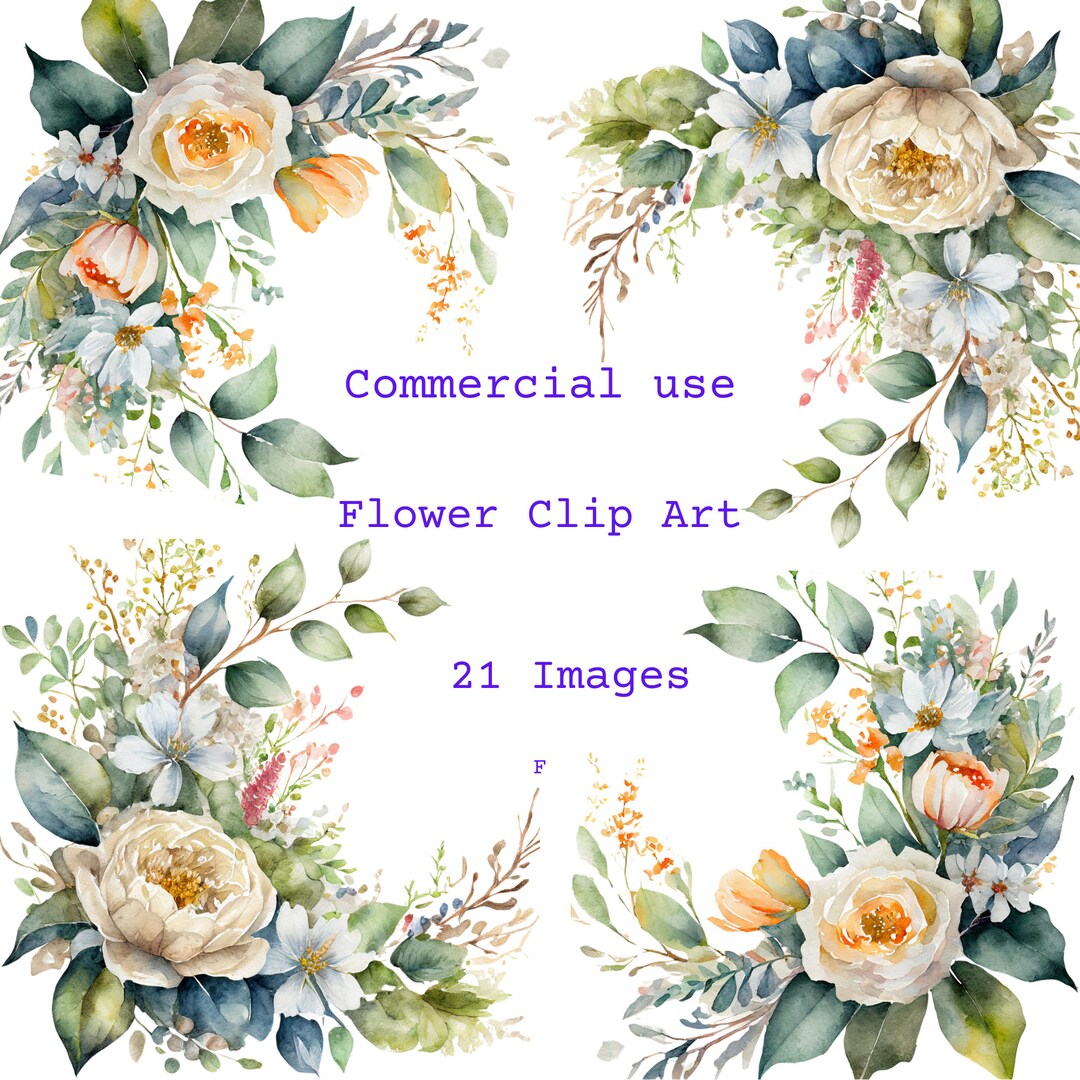 Watercolour Flower Clip Art Pack, Transparent Digital Download - Etsy