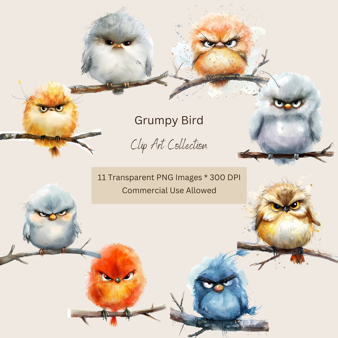 Grumpy Bird Clipart. Watercolour. Transparent Image,commercial Use - Etsy