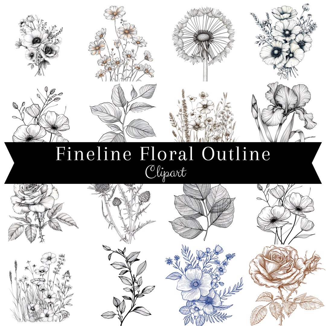 Fineline Floral Outline Clipart. Transparent Image. Colouring Page ...