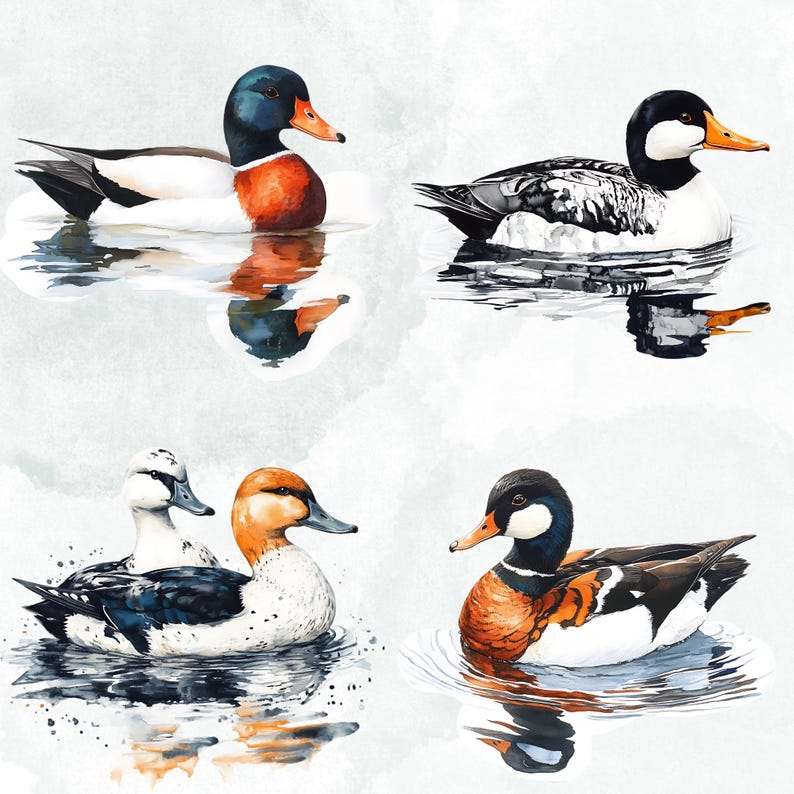 On the Duck Pond Clip Art. Watercolour. Ducks. Waterbirds, Transparent ...
