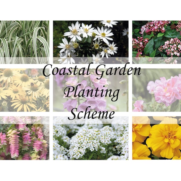 Planting Scheme - Etsy