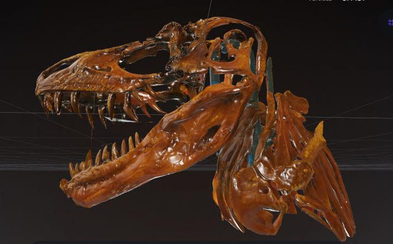 Gorgosaurus Dinosaur STL File | Realistic 3D Printable Model (digital ...