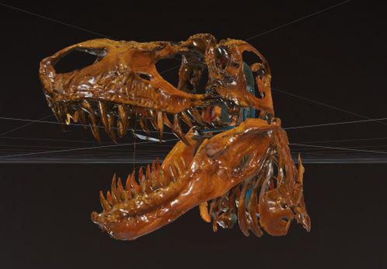 Gorgosaurus Dinosaur STL File | Realistic 3D Printable Model (digital ...