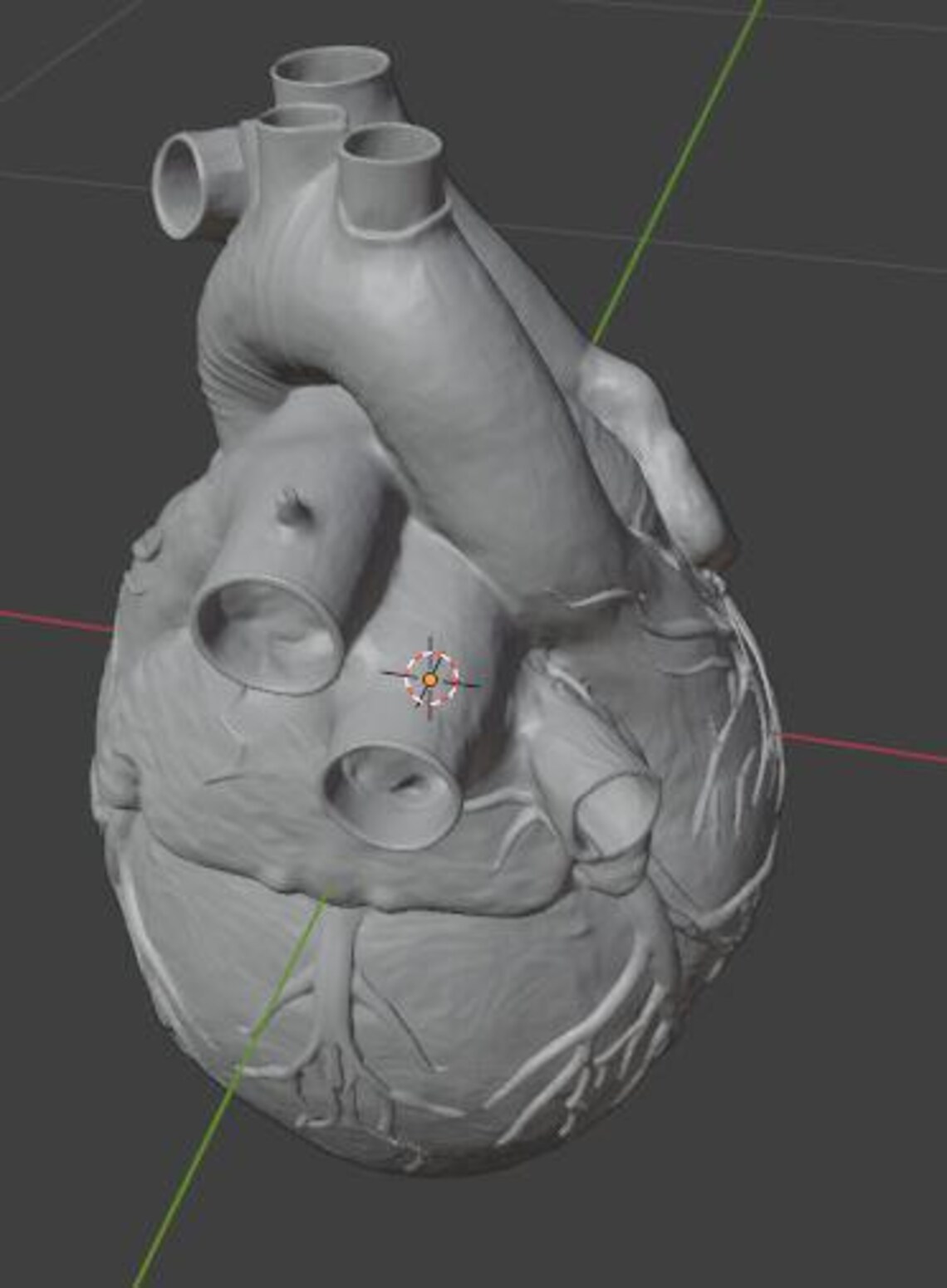 Commercial STL | Realistic Anatomical Heart 3D Model | Printable Human ...