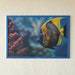 Fish Wall Art - Angelfish With Coral Reef Background - Vibrant Fine Art ...