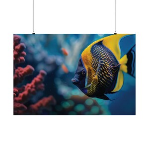 Fish Wall Art - Angelfish With Coral Reef Background - Vibrant Fine Art ...