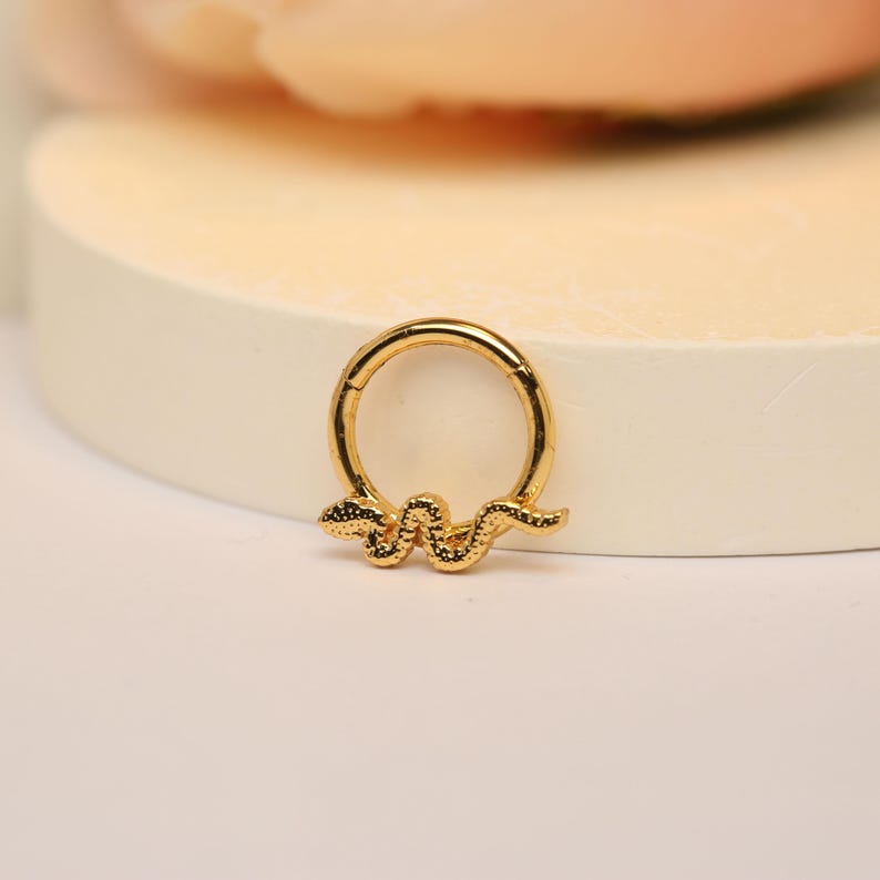 Unique and Stylish Snake Design on the Front Septum Ring Nasal Septum ...