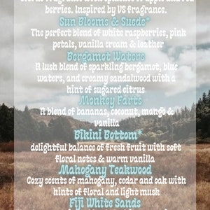 Cozy Vibes Freshie Customizable Western Freshie Car Scent Car ...