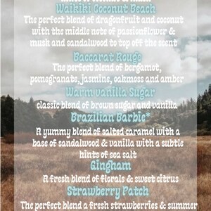 Cozy Vibes Freshie Customizable Western Freshie Car Scent Car ...